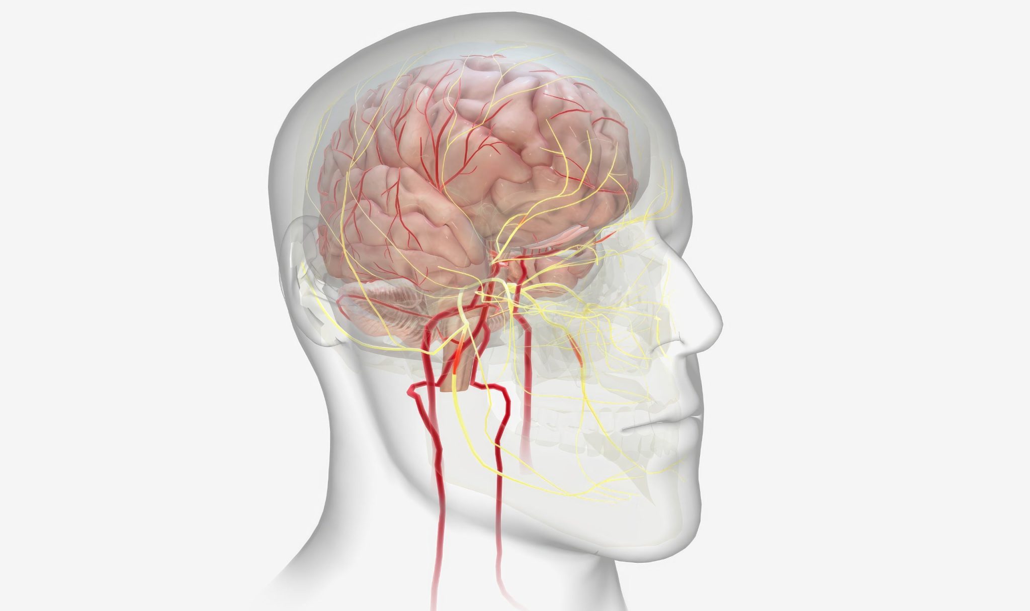 7 Rahsia Akupunktur Proven Membantu Pemulihan Bells Palsy - Iswanah ...
